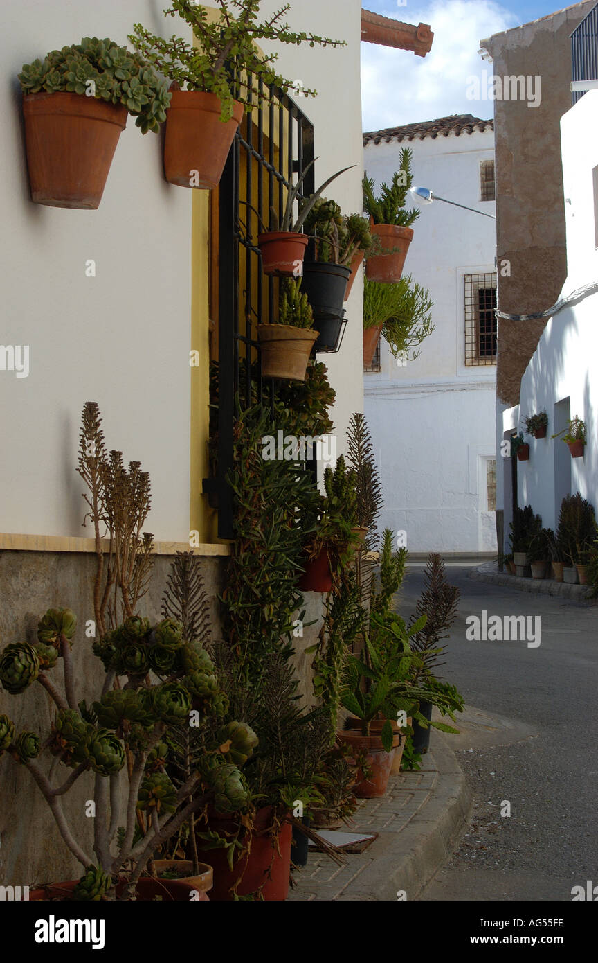 Sorbas hi-res stock photography and images - Alamy