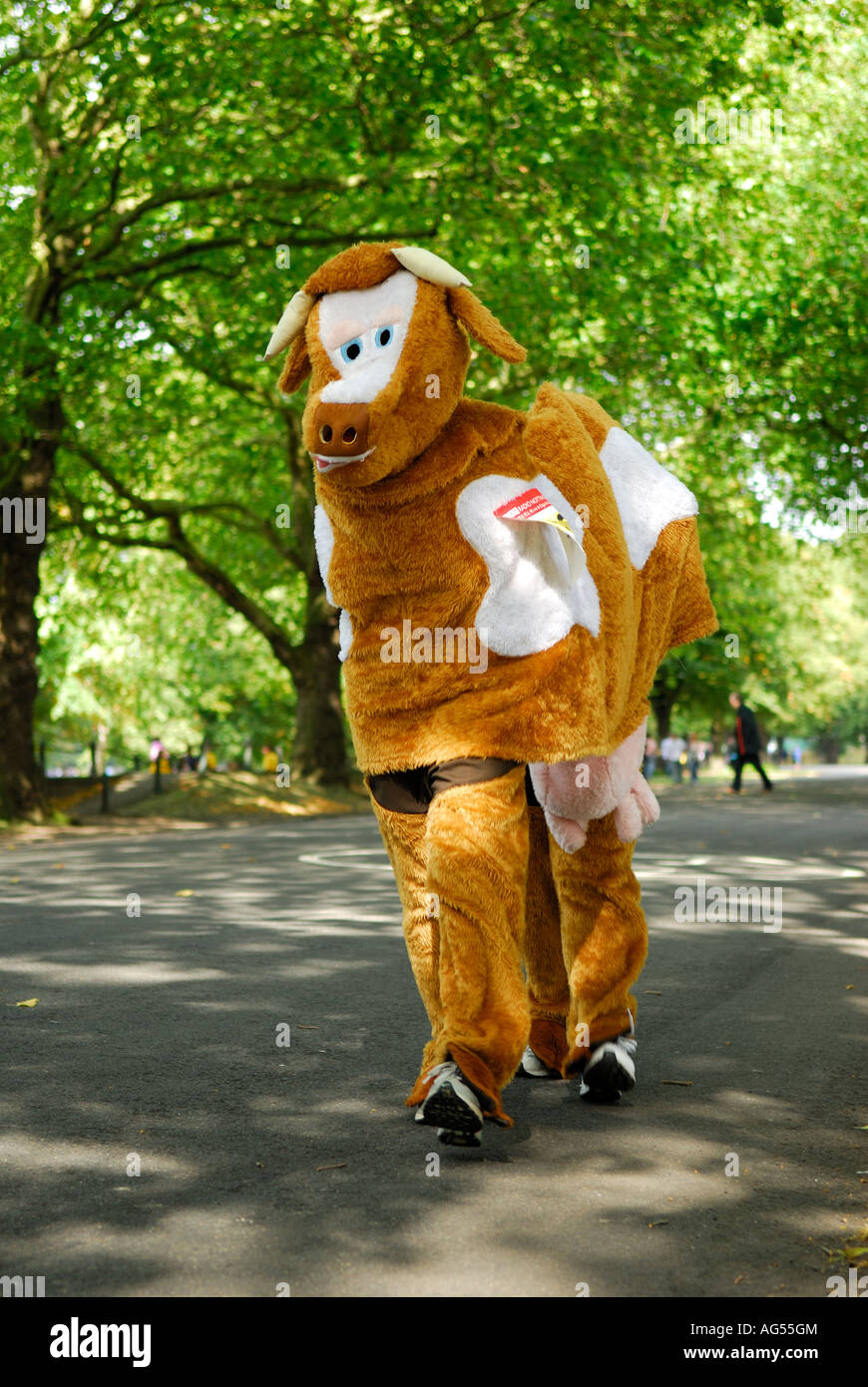Comedy panto cow in marathon Stock Photo - Alamy