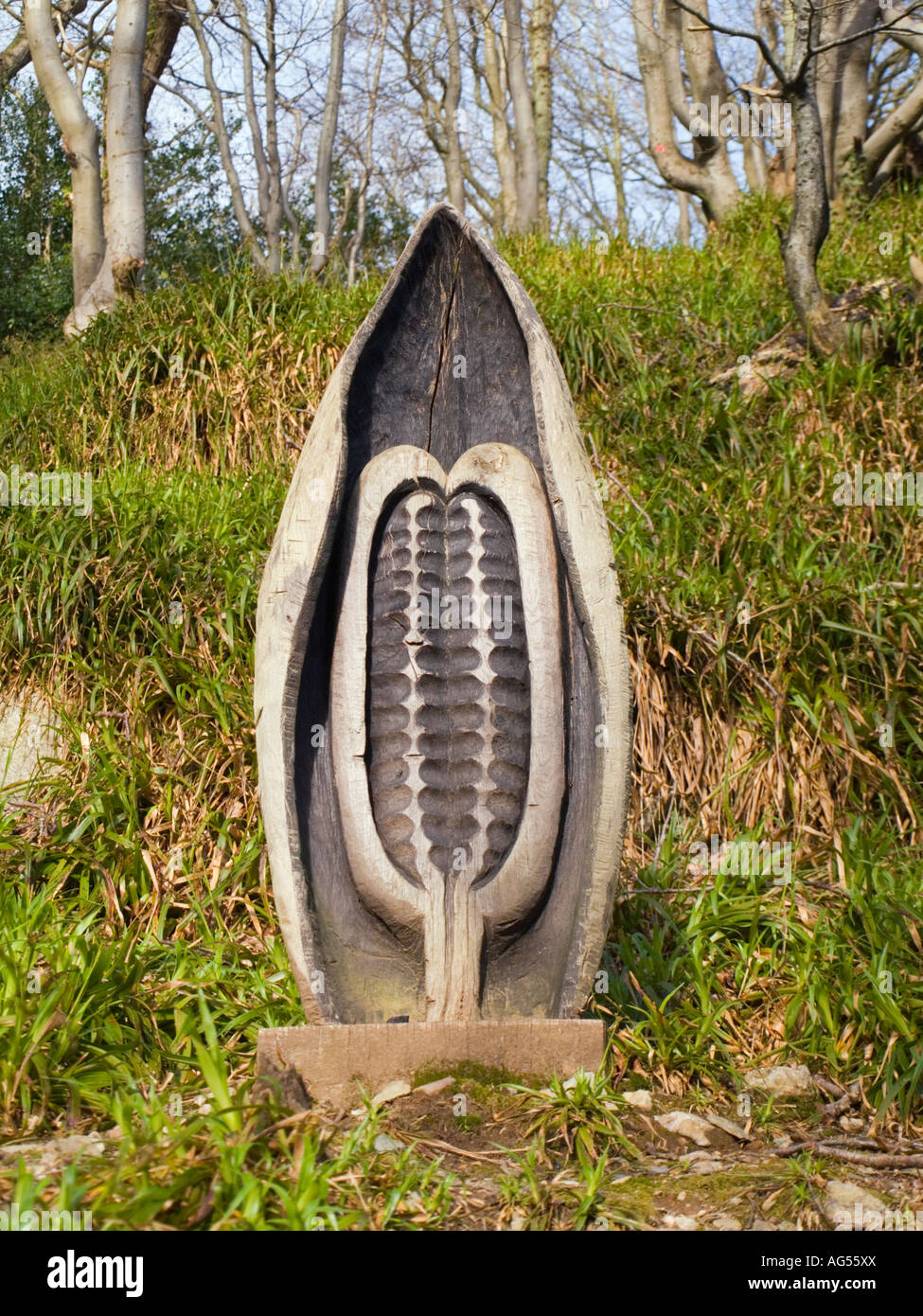 Giant carved wooden seed pod sculpture in deciduous ancient woodland in ...