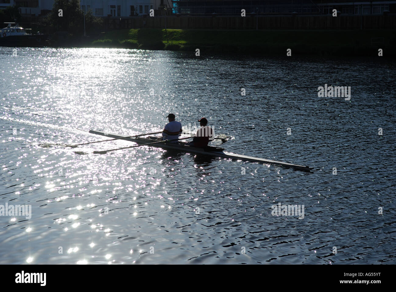 Coxless pairs rowing Stock Photo - Alamy