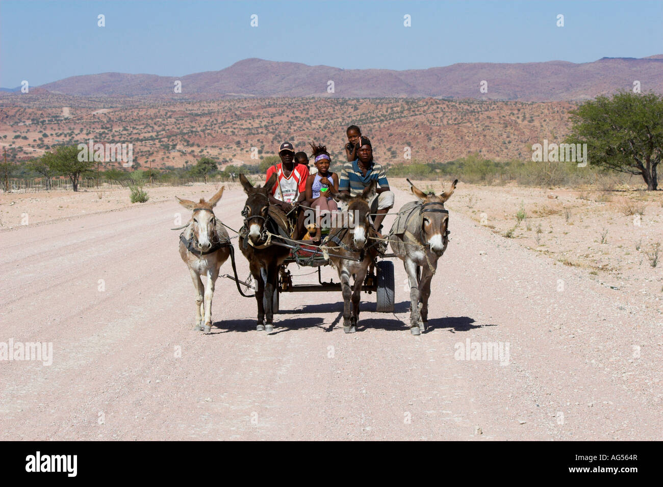Namibian family using Donkeys for transport Damaraland Namibia 1 Stock ...