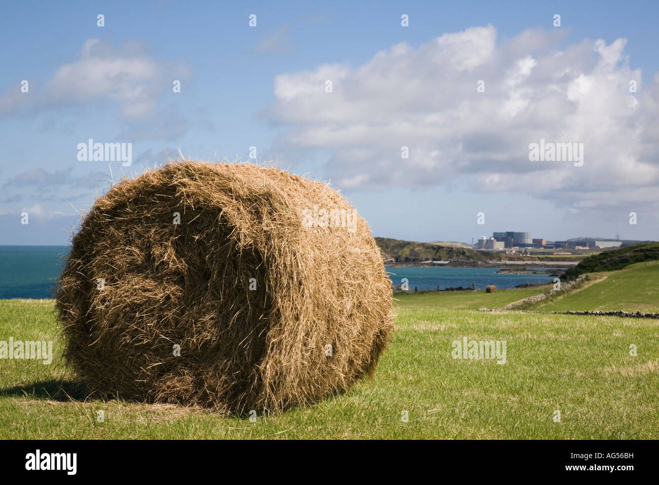 Round hay bale on Heritage coast and AONB Area of Outstanding Natural ...
