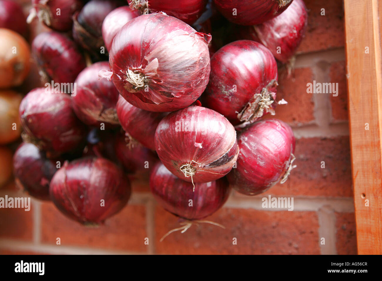 Strings of onions 003 Stock Photo - Alamy