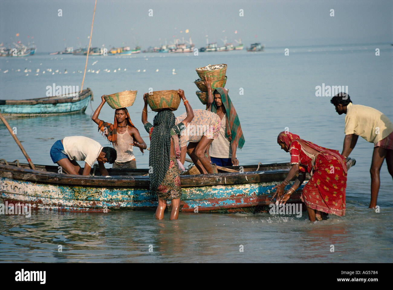 India Goa Colva Beach Fishermen and women unloading fishing boats Stock ...