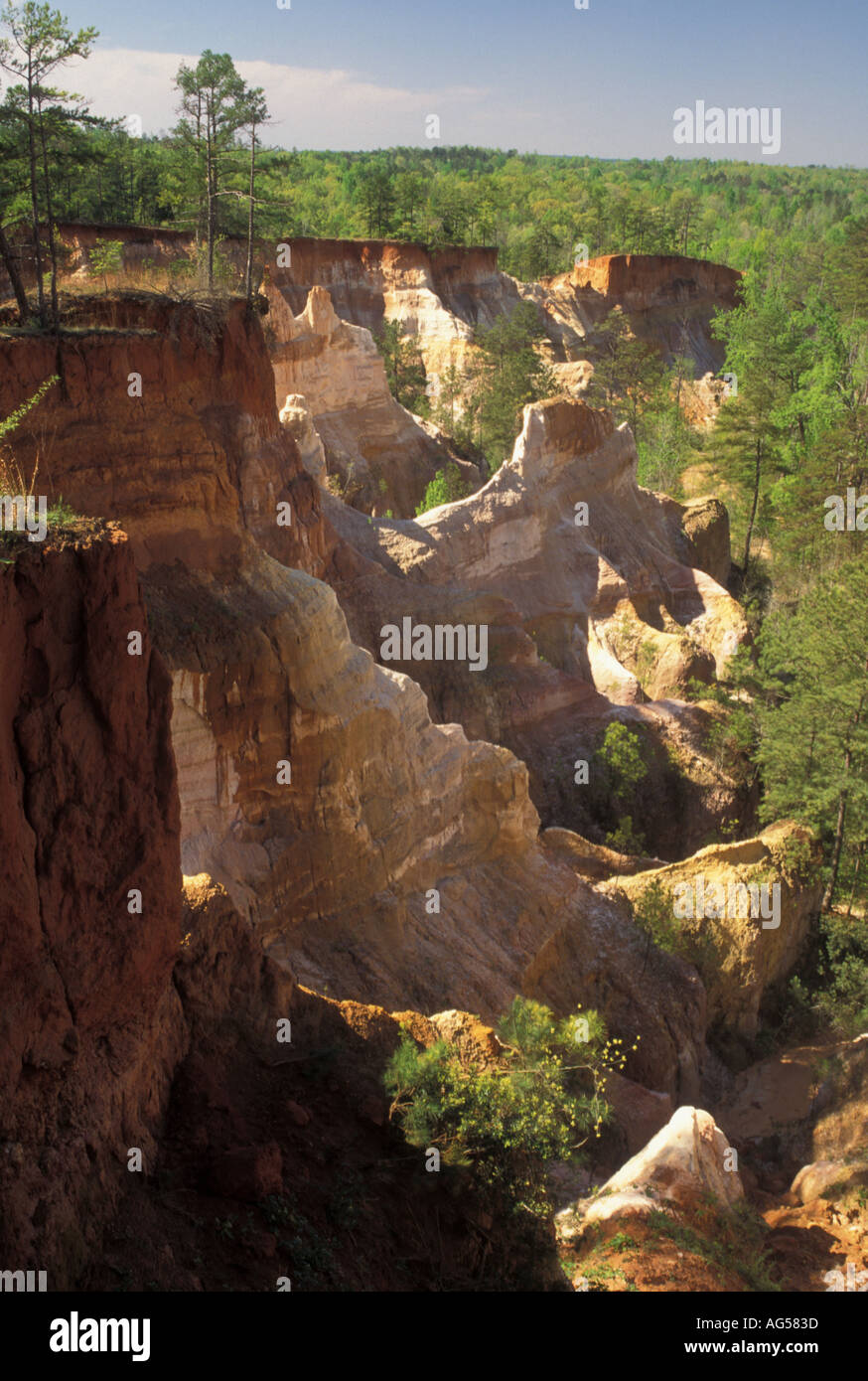 Georgias Little Grand Canyon High Resolution Stock Photography and ...