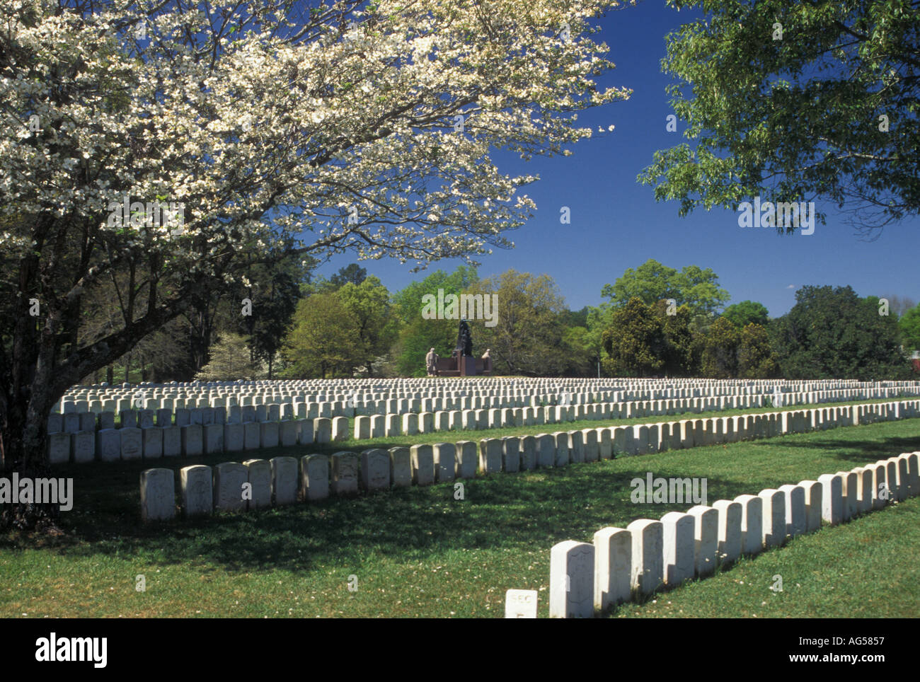 Andersonville georgia cemetery hi-res stock photography and images - Alamy