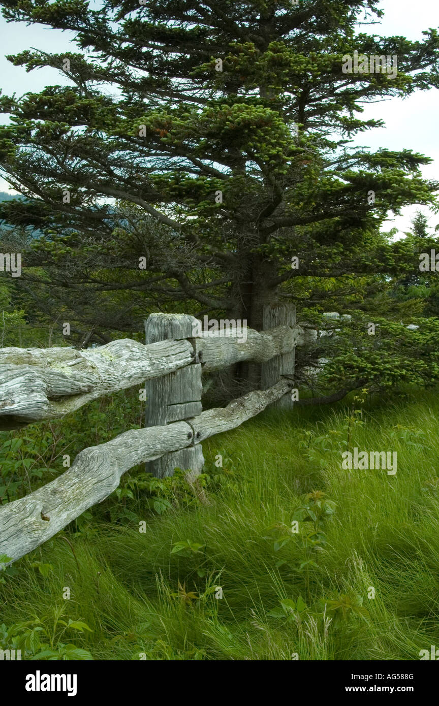 Carvers gap hi-res stock photography and images - Alamy