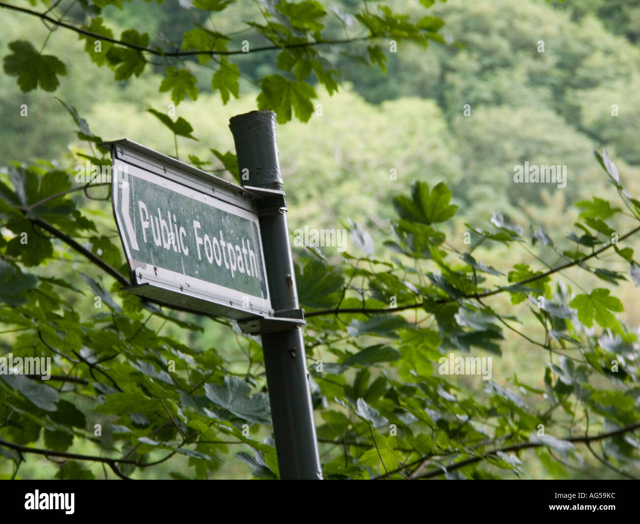 Rural footpath sign Stock Photo - Alamy