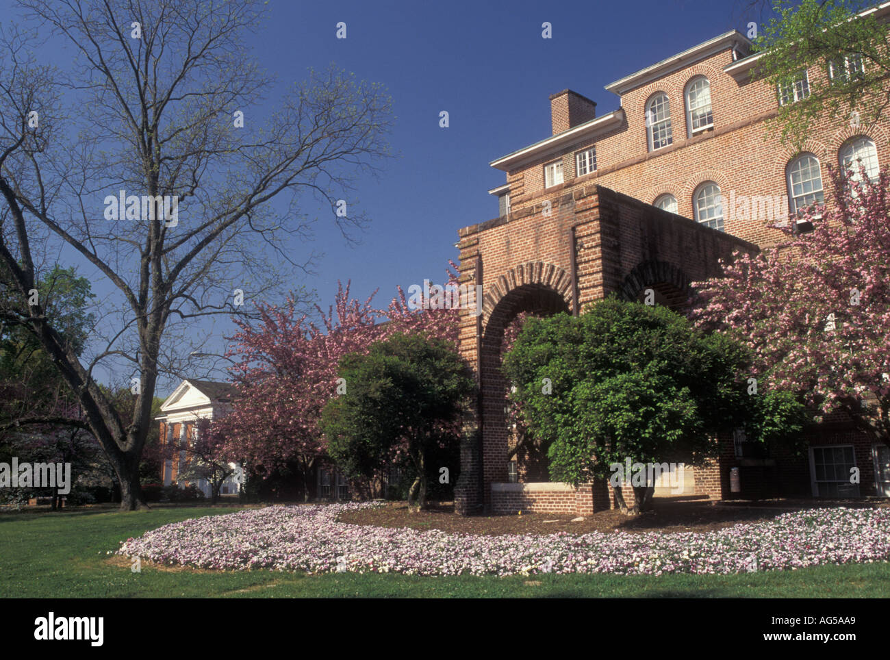 North carolina state campus hi-res stock photography and images - Alamy