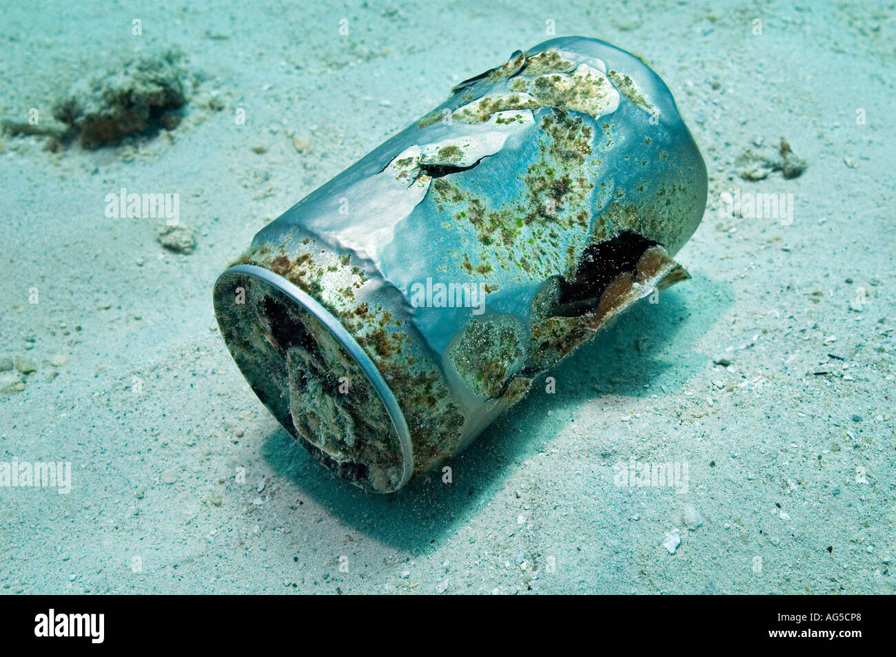Polluted seabed hi-res stock photography and images - Alamy