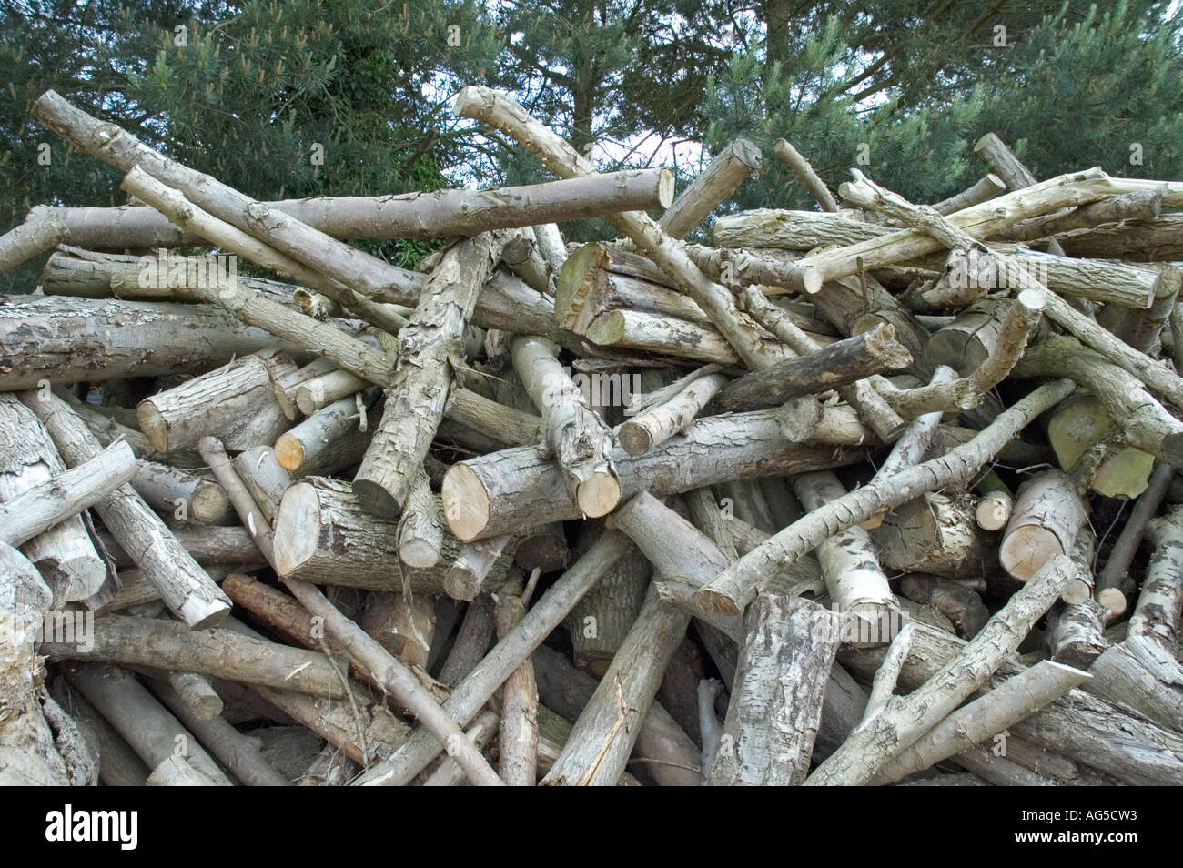 A large pile of logs in rural Suffolk Stock Photo - Alamy