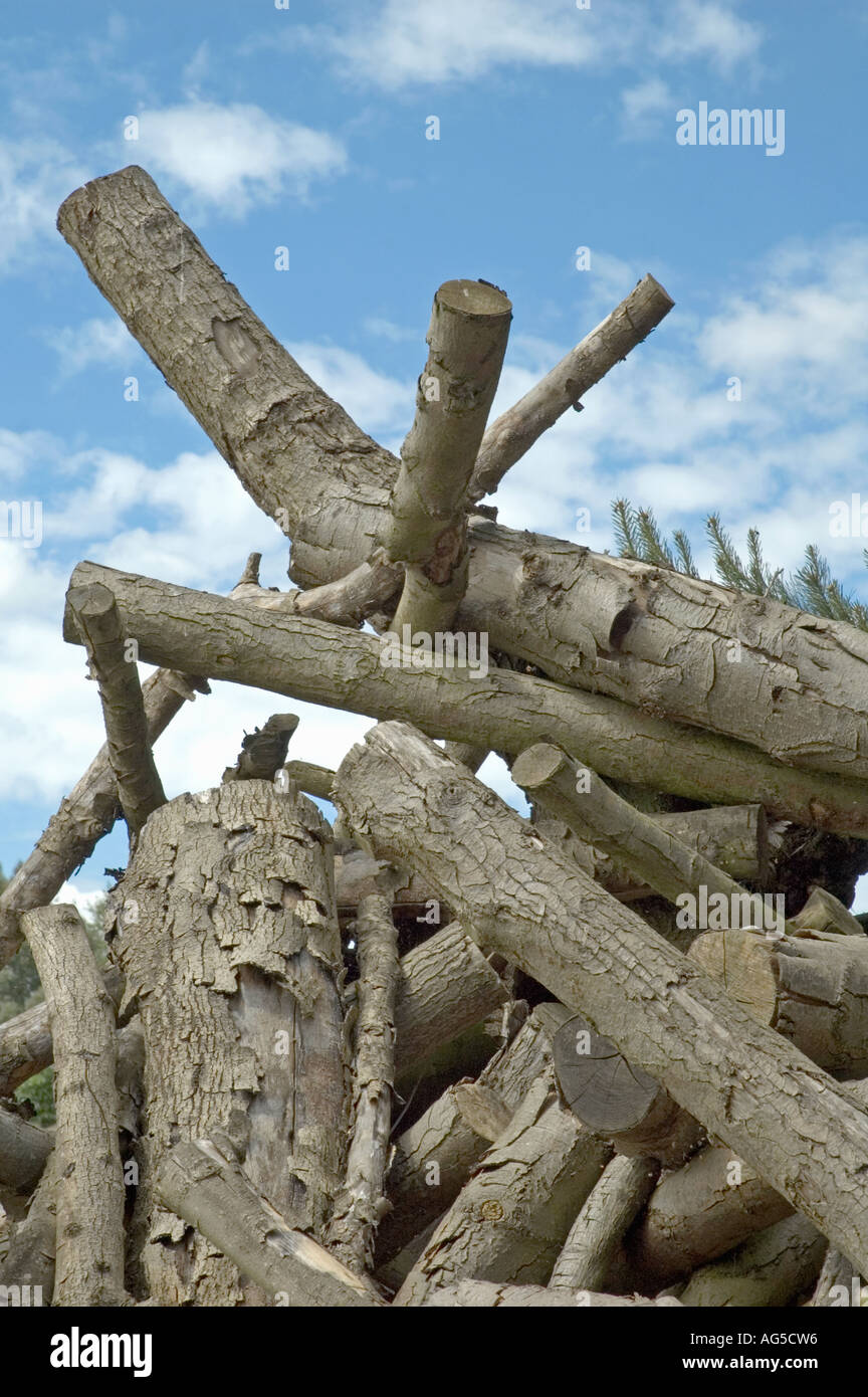 A large pile of logs in rural Suffolk a useful habitat for the local ...