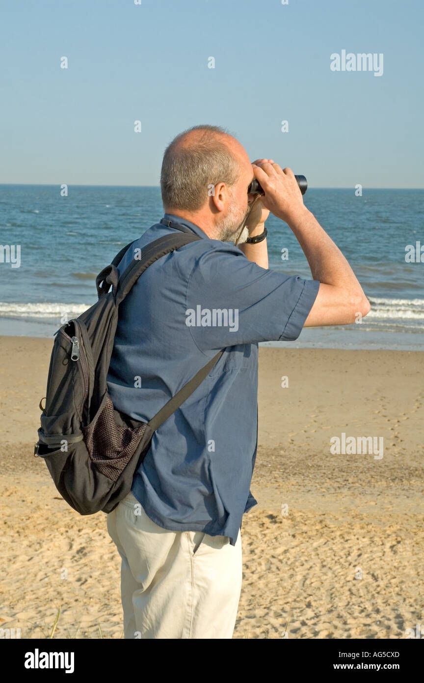 Summer birdwatching on the beach at Walberswick Suffolk England UK ...