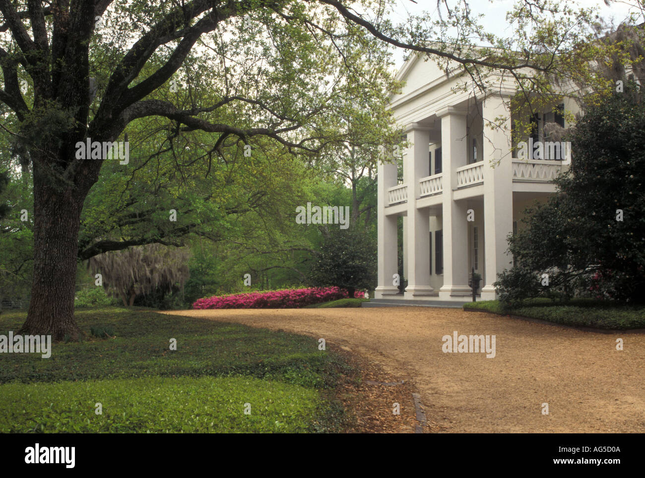 Mississippi natchez spring pilgrimage historic hi-res stock photography ...