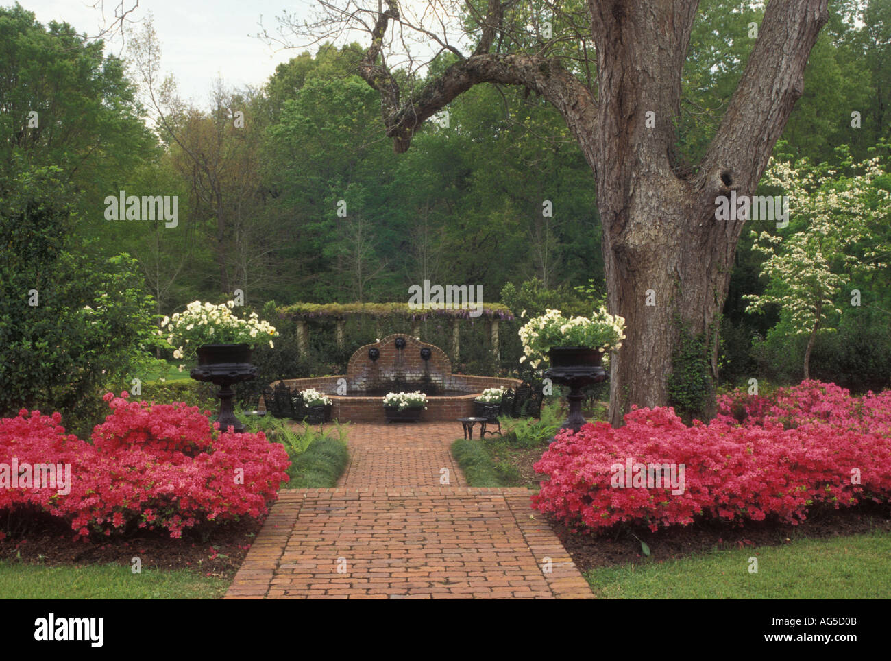 Natchez mississippi pilgrimage hi-res stock photography and images - Alamy