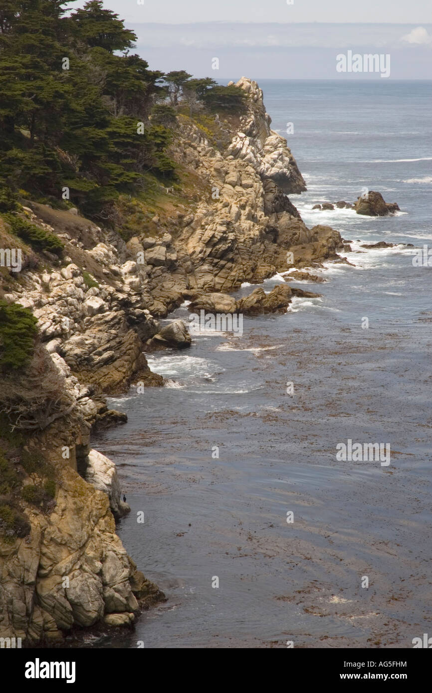 Shoreline Cliffs Near Pt Lobos State Reserve California Stock Photo - Alamy