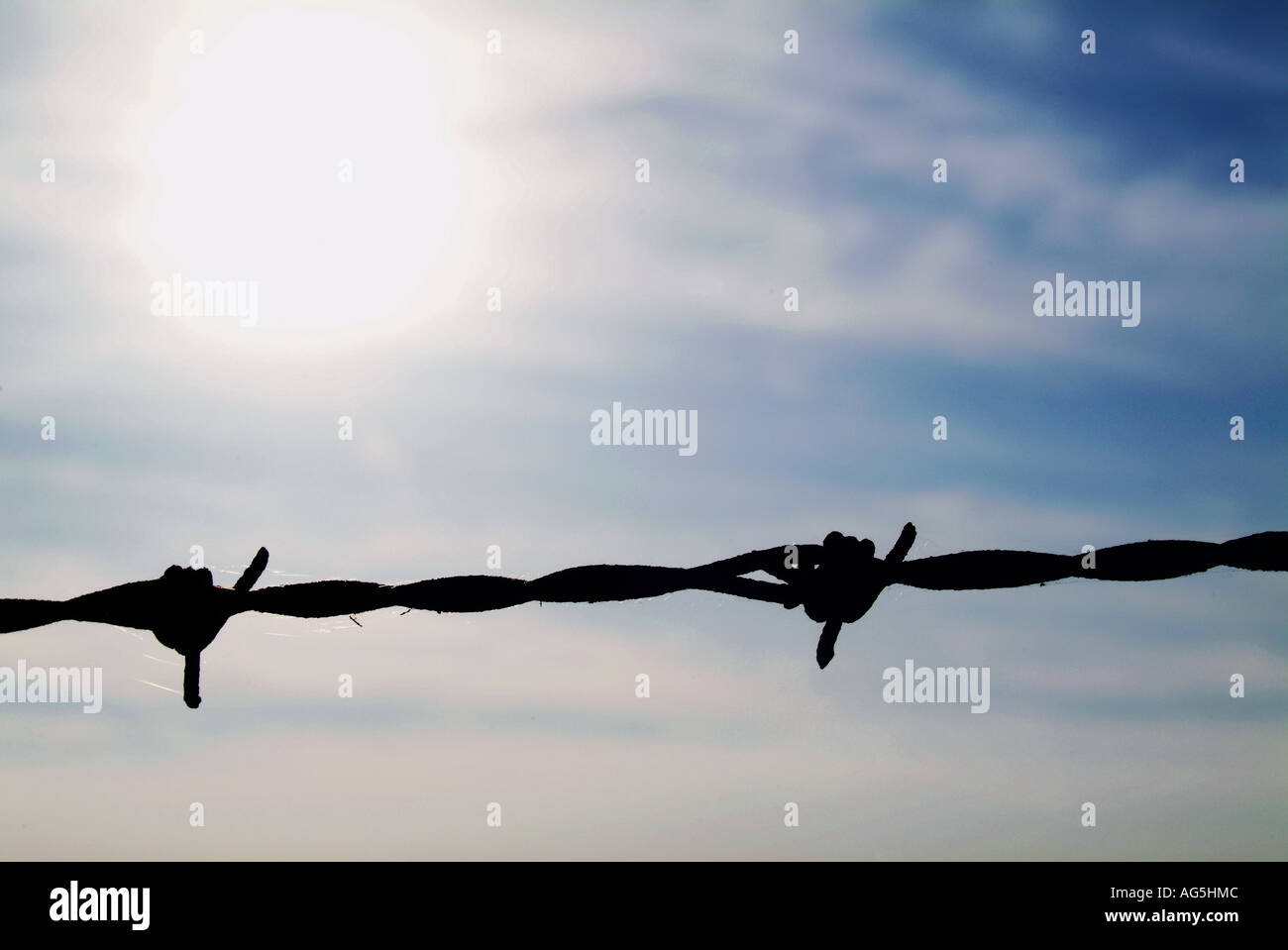 Spikey wire hi-res stock photography and images - Alamy