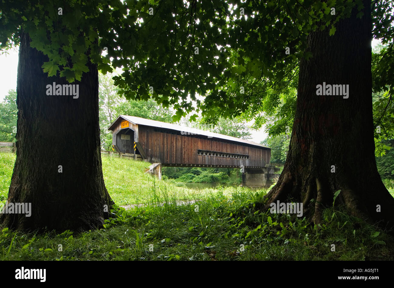 Maple Trees Framing the Benetka Road Covered Bridge Spanning the ...