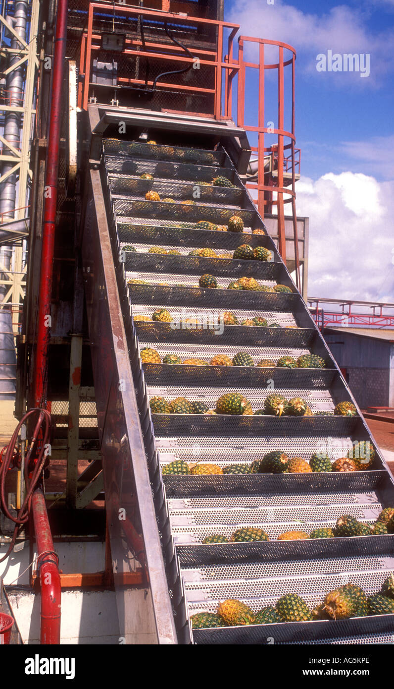 Costa rica tico fruit production hi-res stock photography and images ...