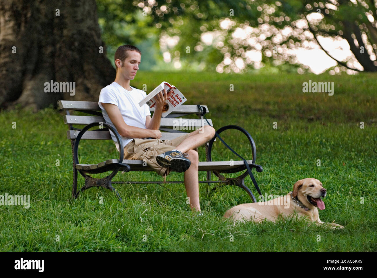 Man with Dog Sitting on Park Bench Studying Book on Dimensional ...