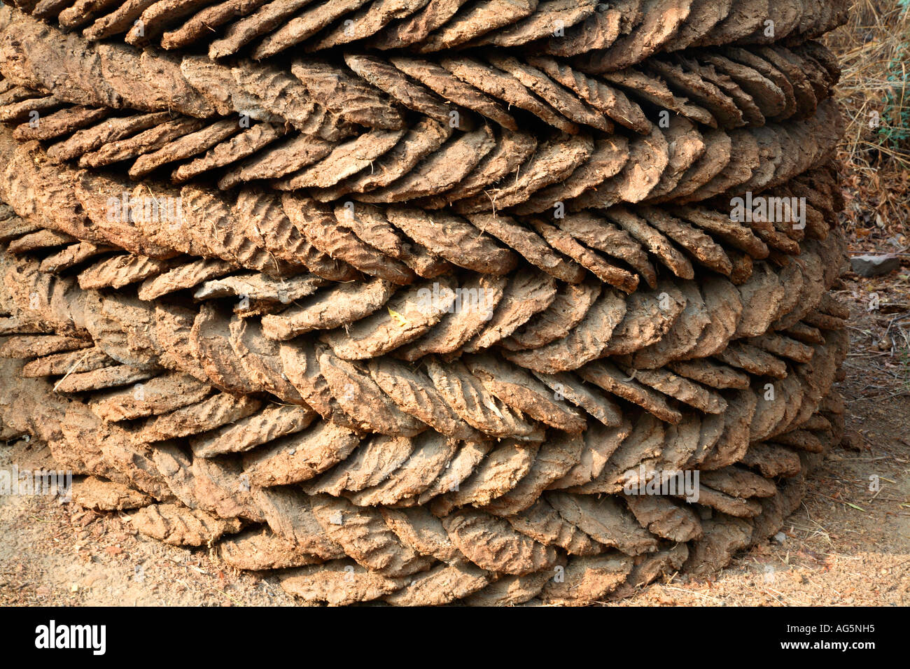 The dung hi-res stock photography and images - Alamy