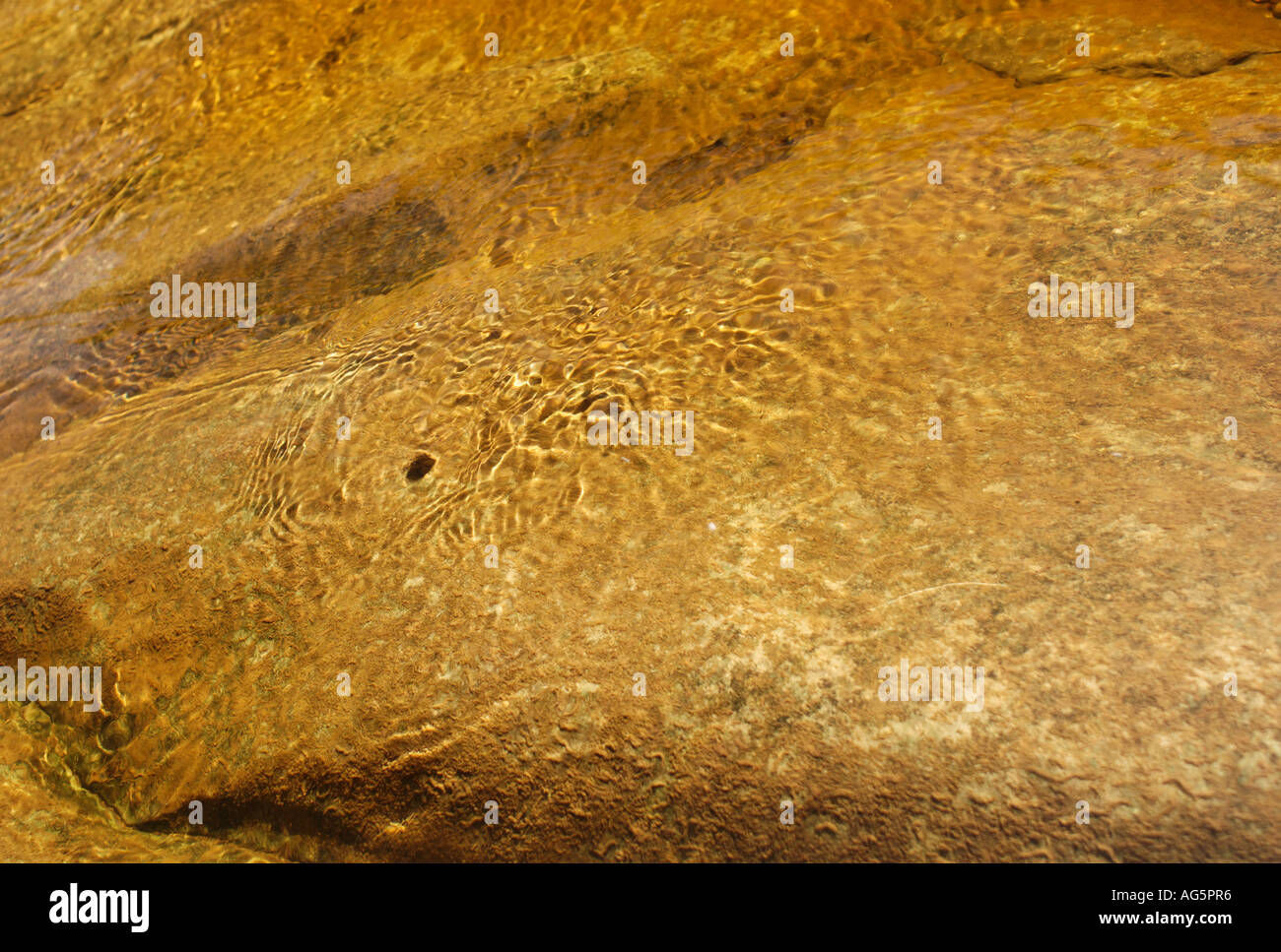 Gill patterns hi-res stock photography and images - Alamy