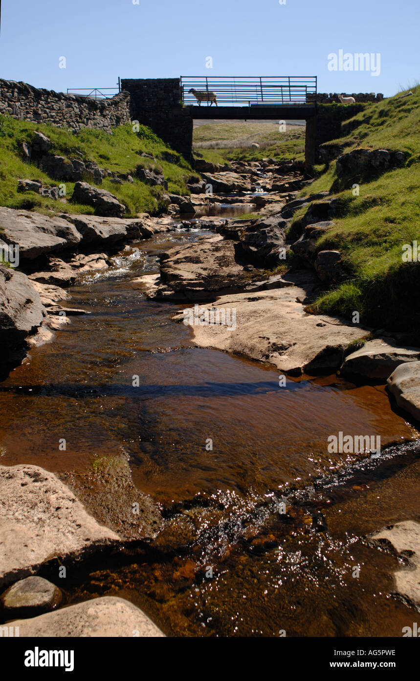 Hell Gill Beck High Resolution Stock Photography and Images - Alamy