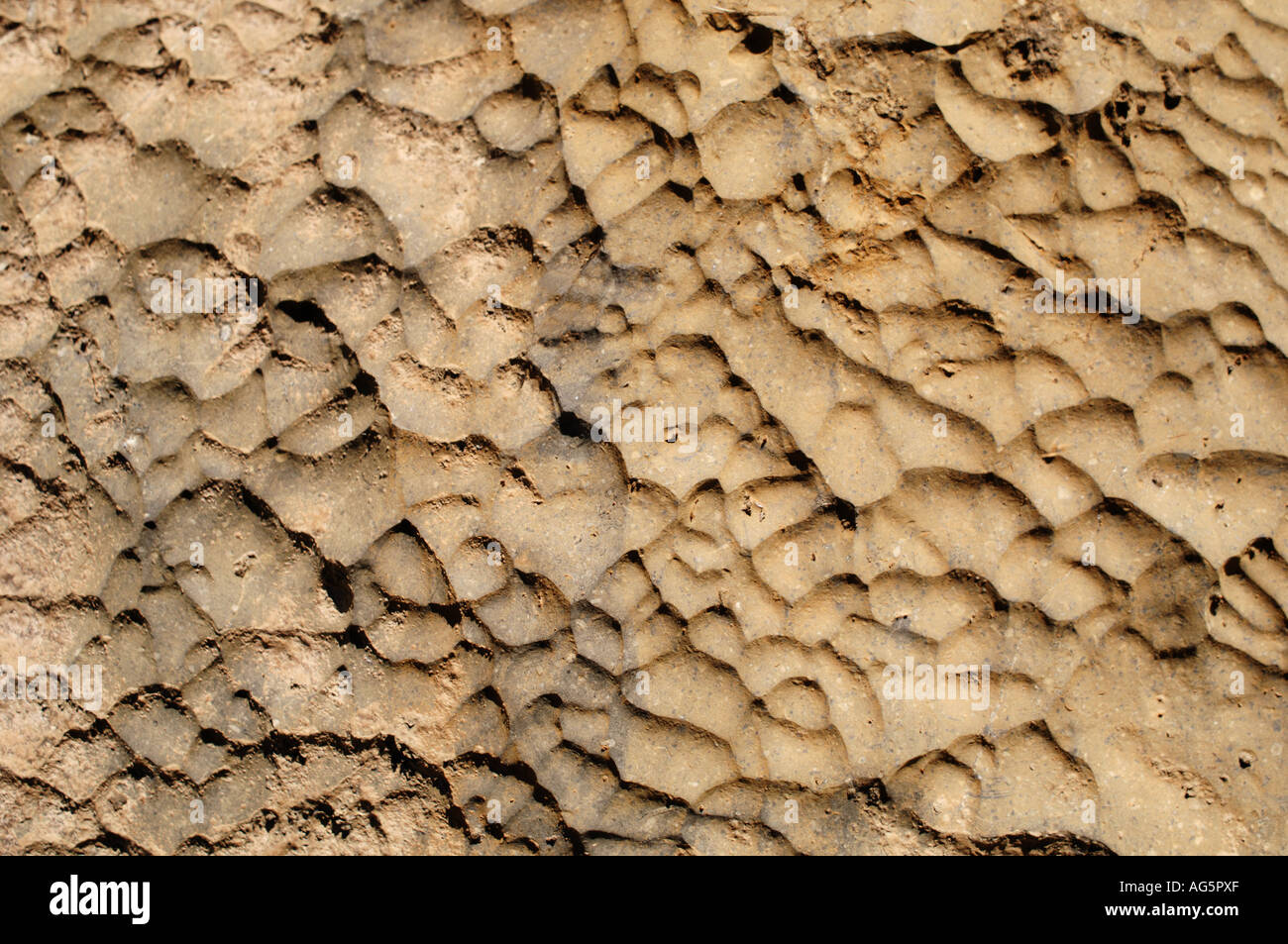 Hell Gill Beck High Resolution Stock Photography and Images - Alamy