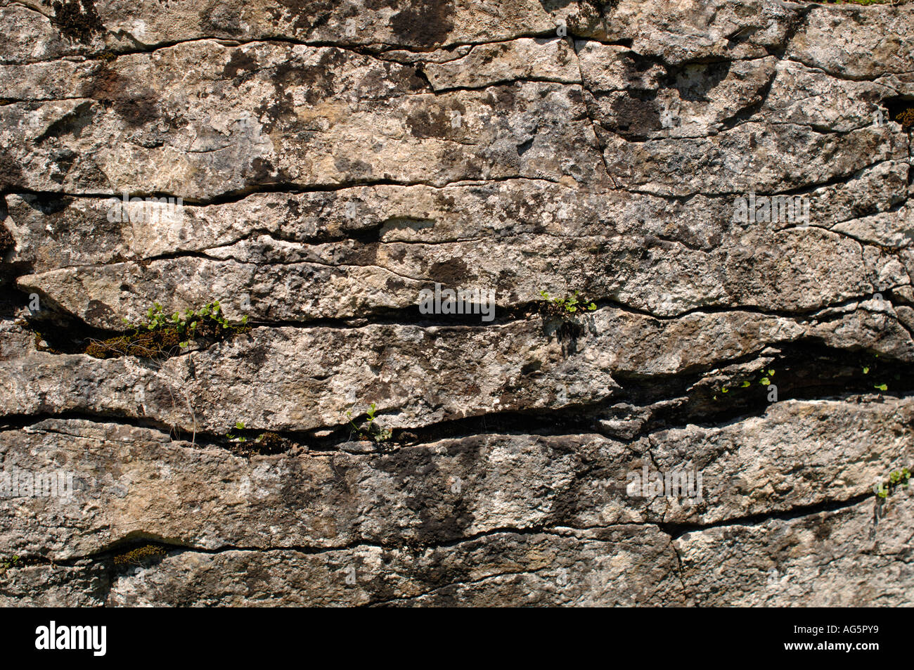 Hell Gill Beck High Resolution Stock Photography and Images - Alamy