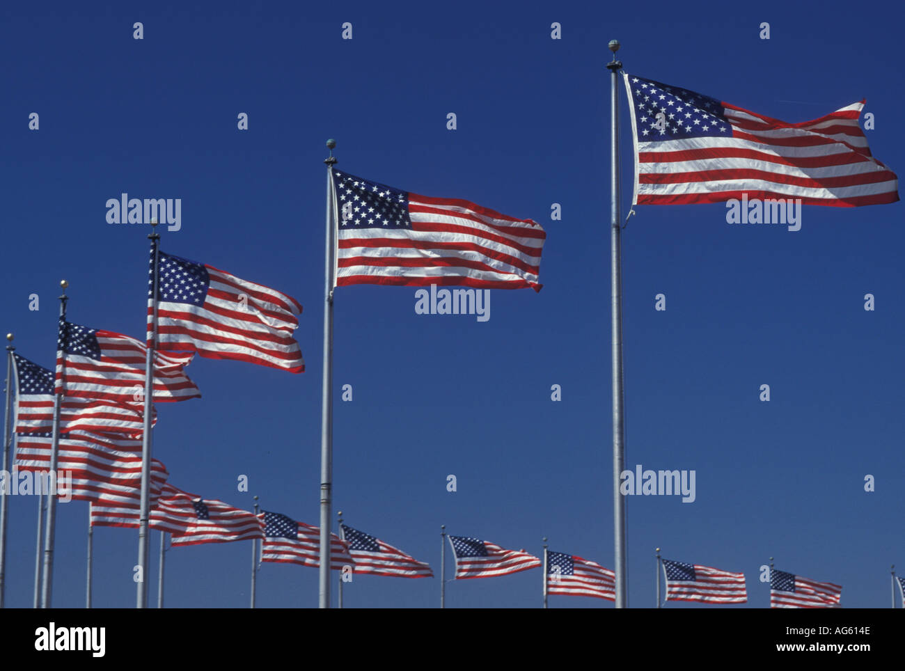 Washington dc state flag hi-res stock photography and images - Alamy