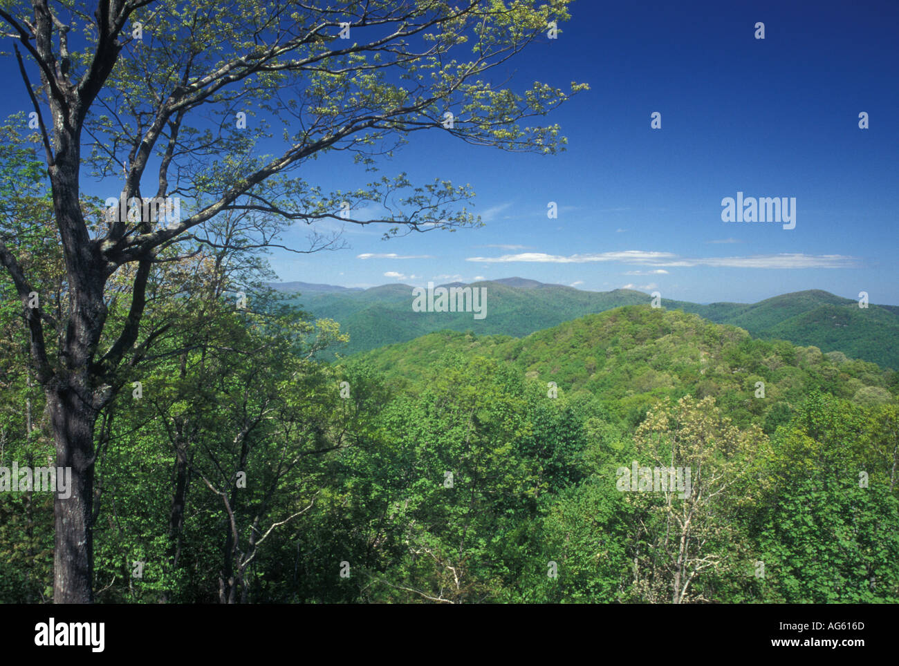 American Vista Georgia High Resolution Stock Photography and Images - Alamy