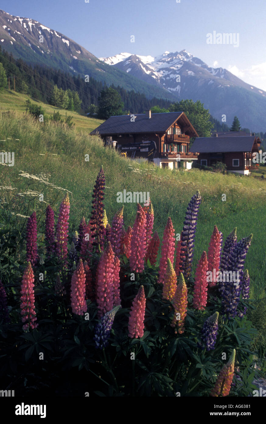 Ernen Switzerland High Resolution Stock Photography and Images - Alamy