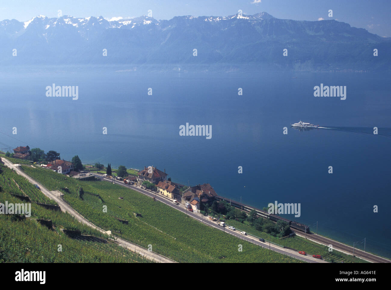 Switzerland canton vaud vineyards hi-res stock photography and images ...