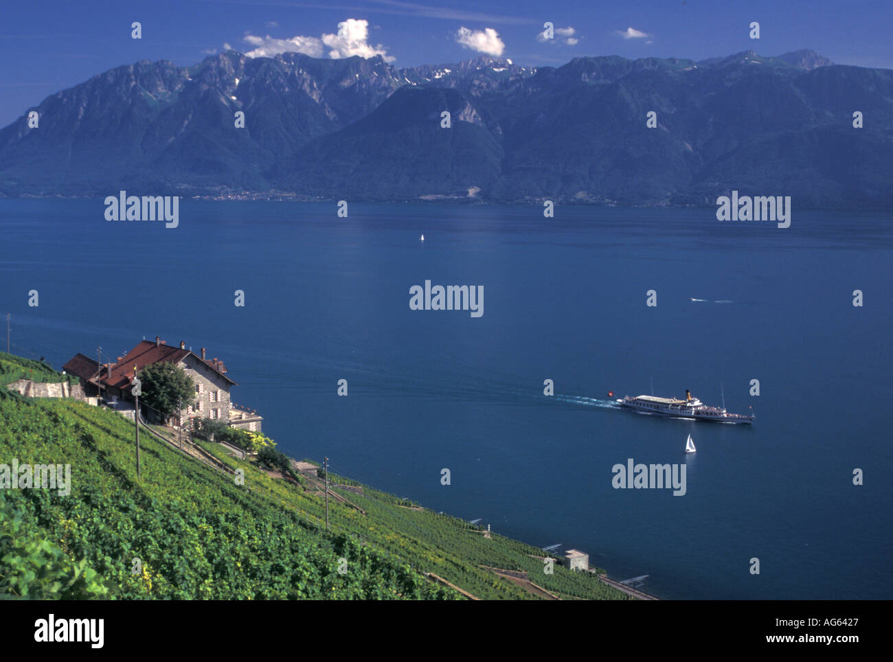 Lavaux vineyard tour hi-res stock photography and images - Alamy