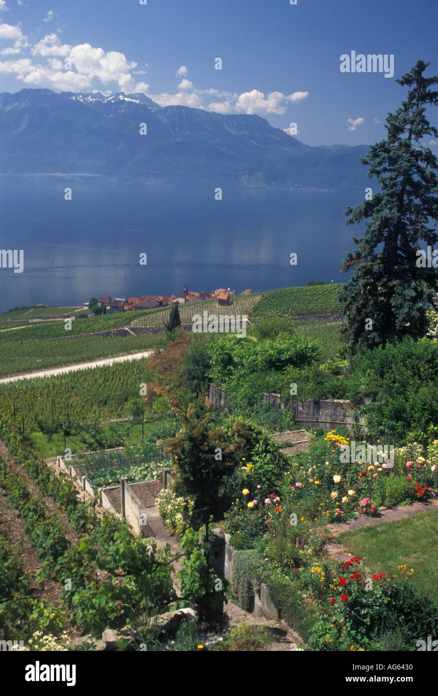 Aj16097 hi-res stock photography and images - Alamy