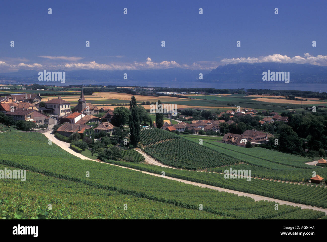 AJ16219, La Cote, Lake Geneva, Switzerland, Vaud Stock Photo - Alamy