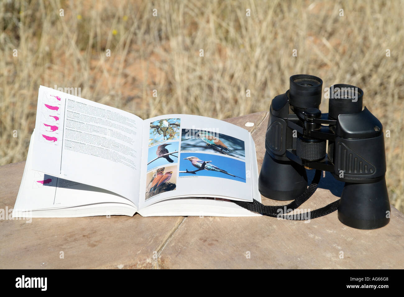 African field guide hi-res stock photography and images - Alamy
