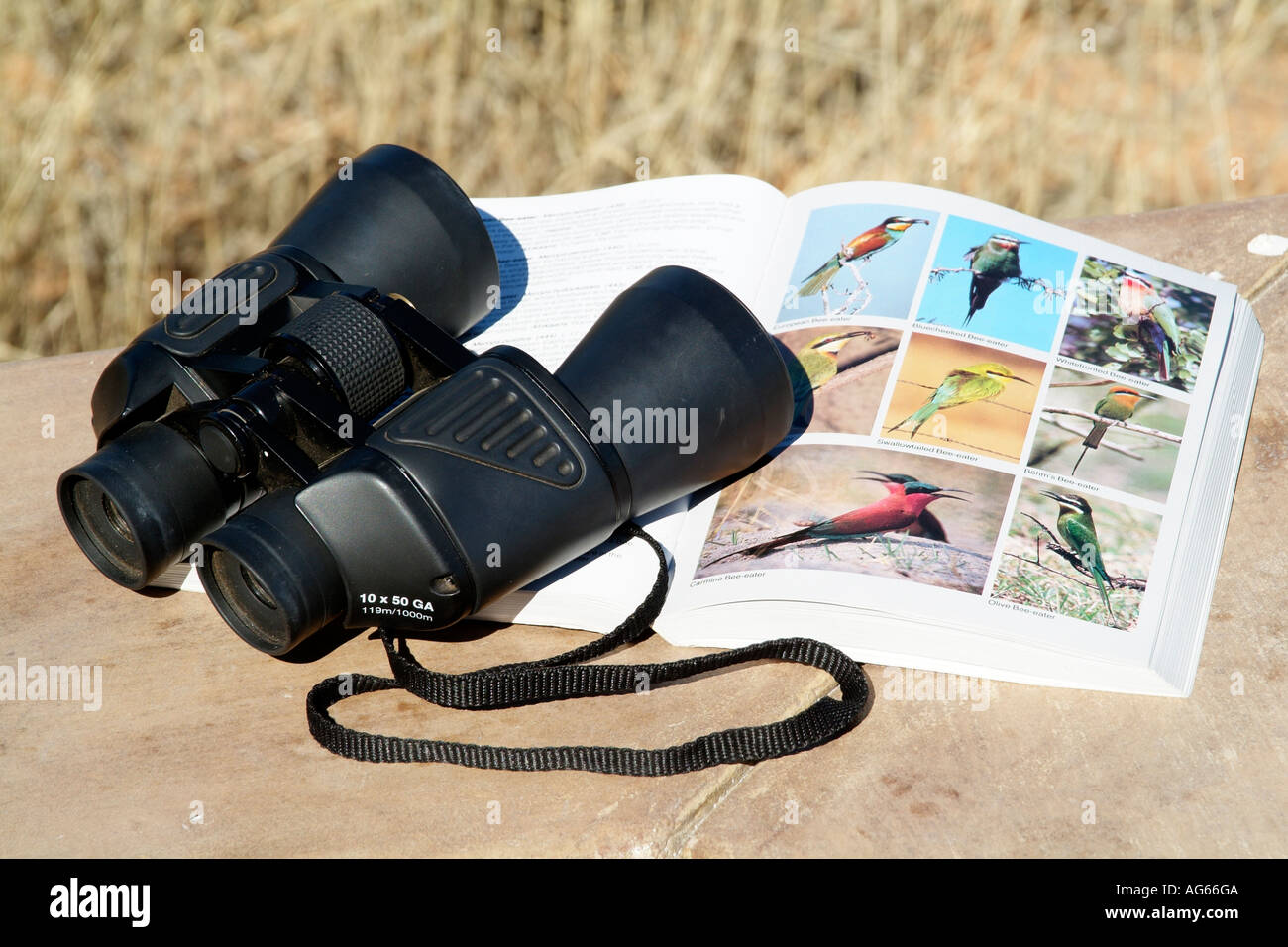 African field guide hi-res stock photography and images - Alamy