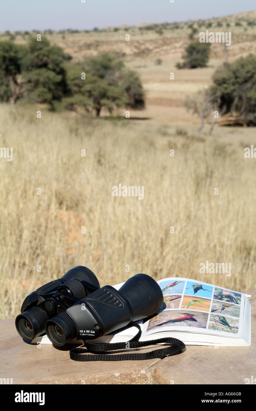 African field guide hi-res stock photography and images - Alamy
