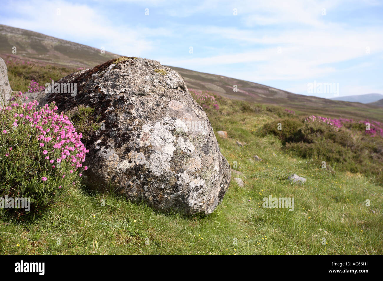 Glacial erratic rock, glacially deposited boulders, rocks; Scottish ...
