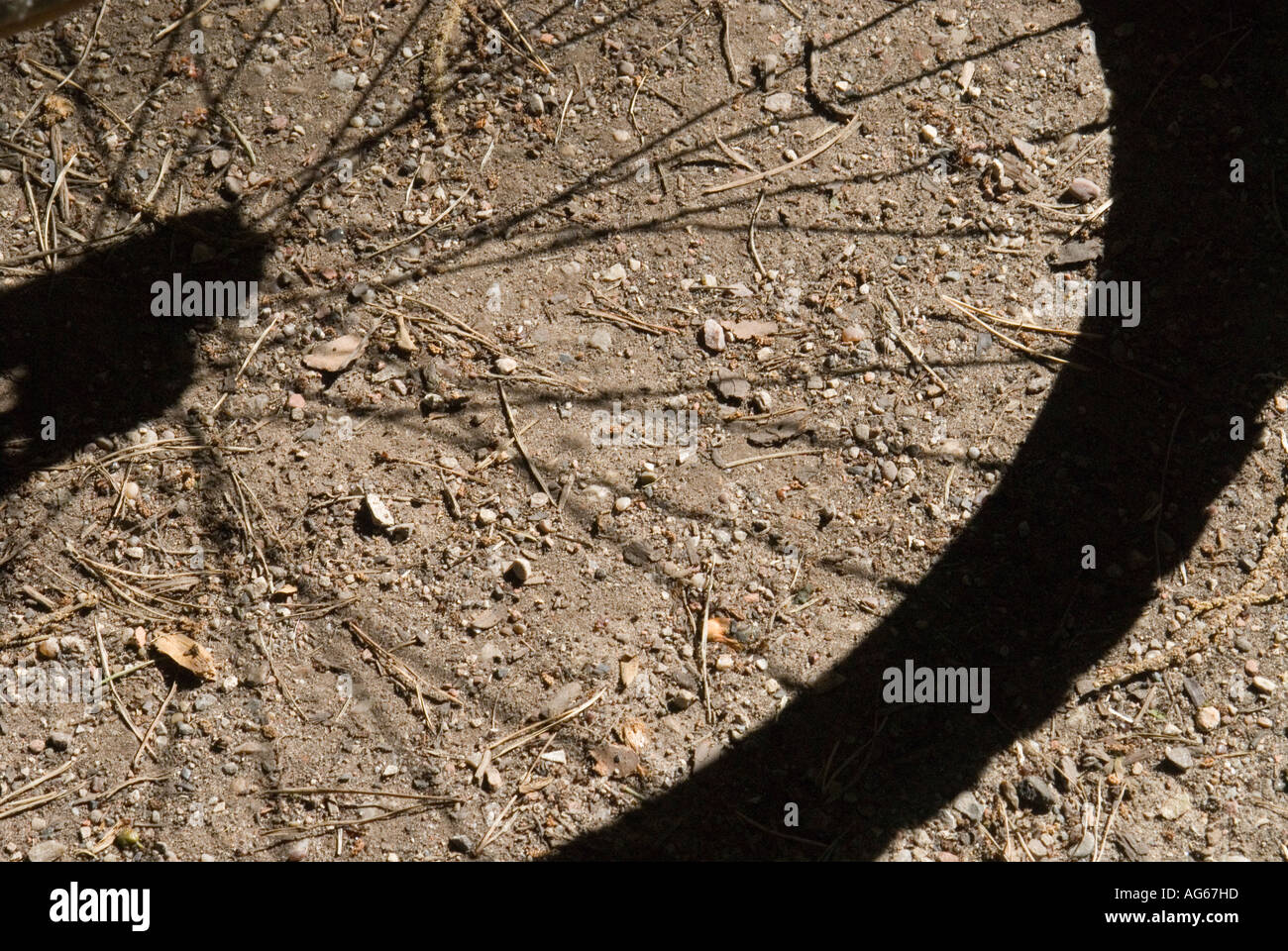 Shadow of bicycle wheel Stock Photo - Alamy