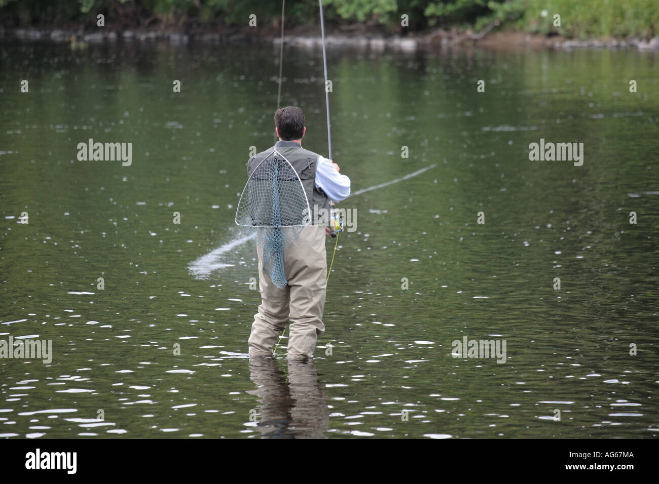 Fly Fisherman in waders, carrying landing net, riverside wading in the ...