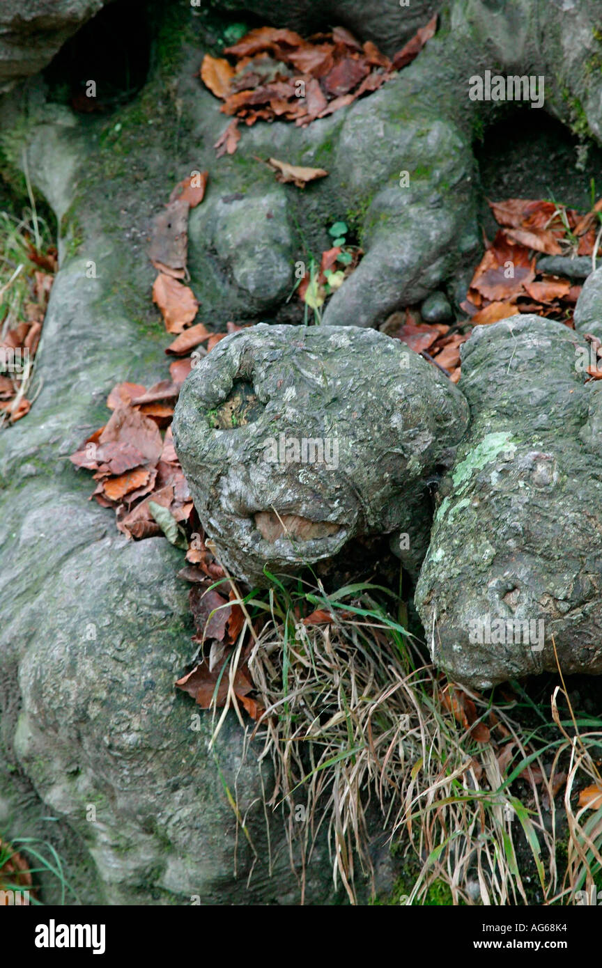An example of Pareidolia - Exposed tree roots that look like human ...