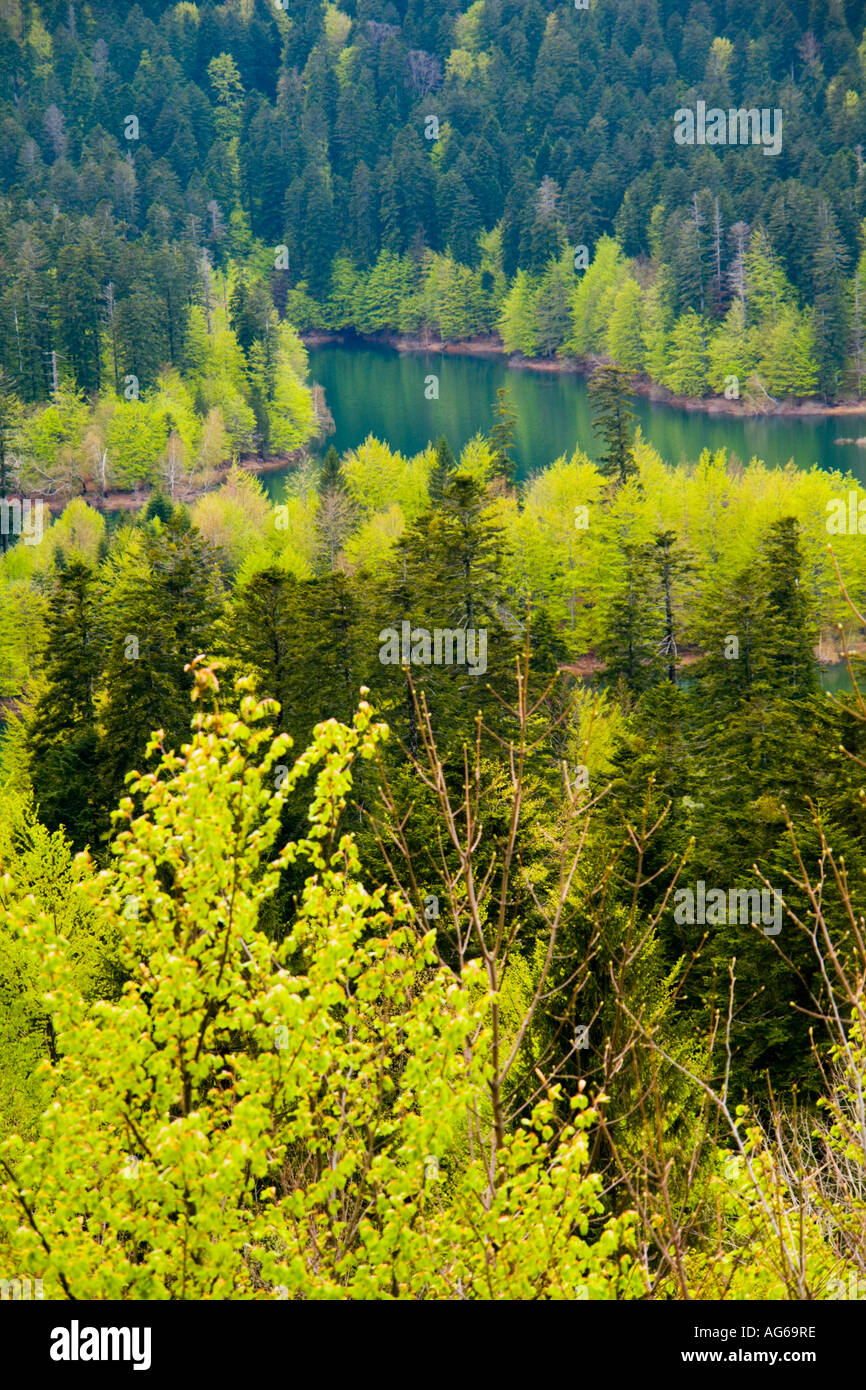 Colored photographs hi-res stock photography and images - Alamy