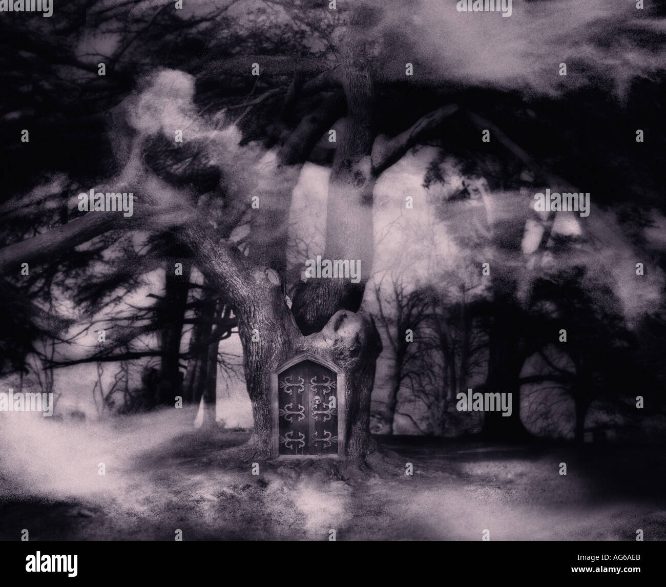 Tree Myth High Resolution Stock Photography and Images - Alamy