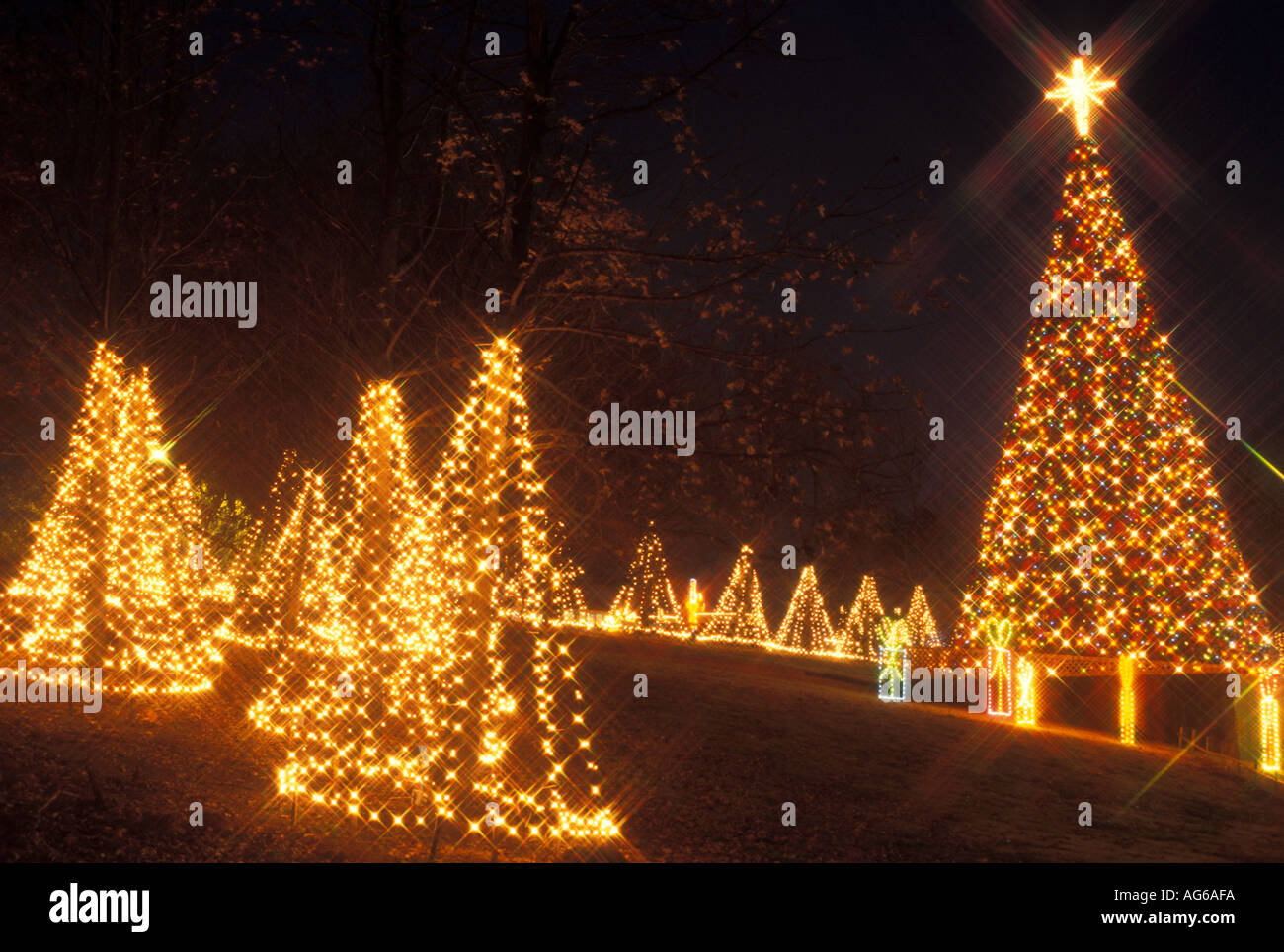 Outdoor Christmas Lights In Georgia