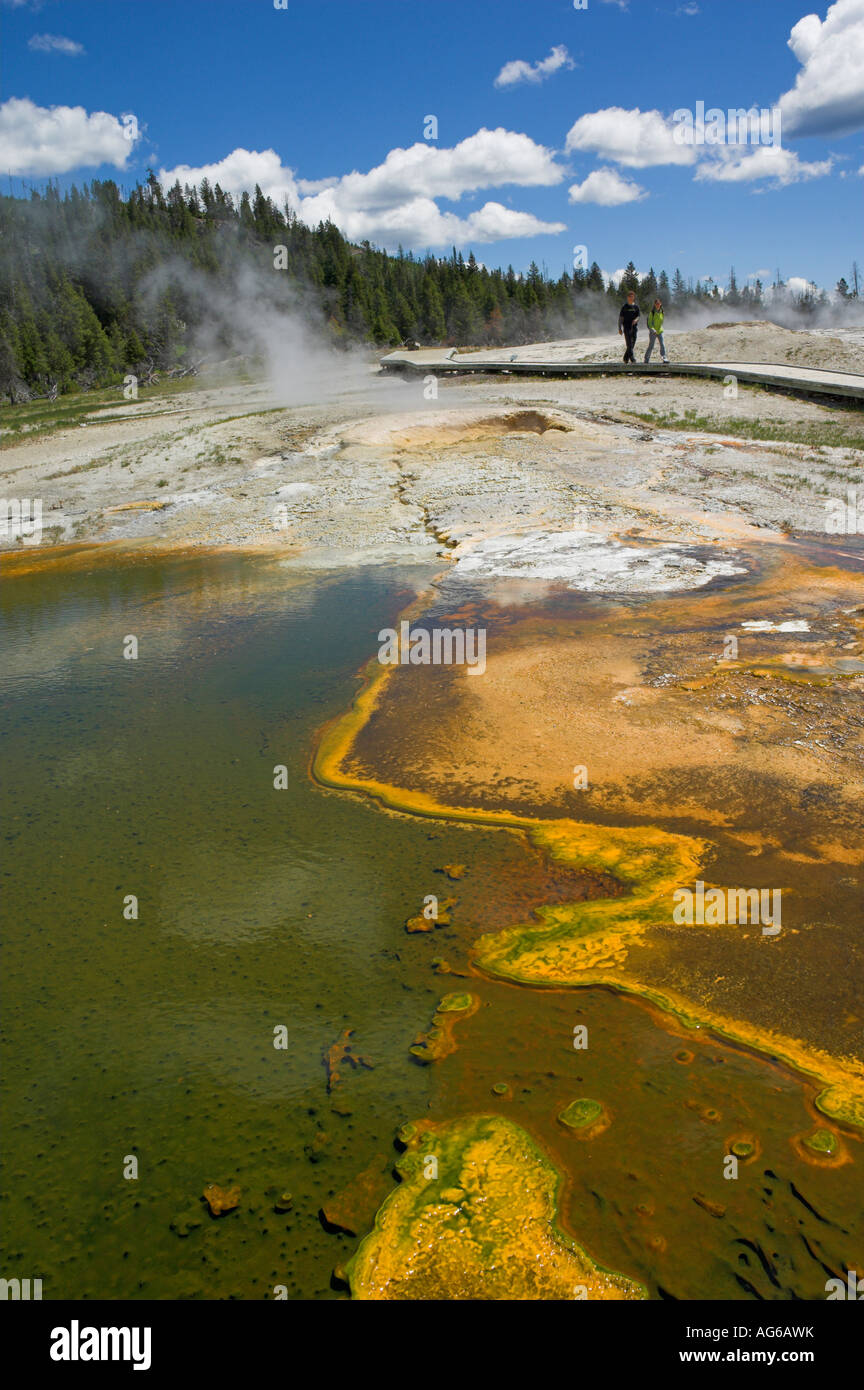 geyser hill upper geyser basin yellowstone national park wyoming usa ...
