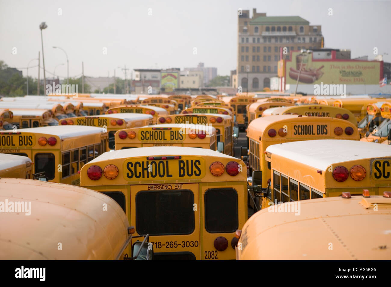Classic American yellow school buses parked in Brooklyn in New York ...