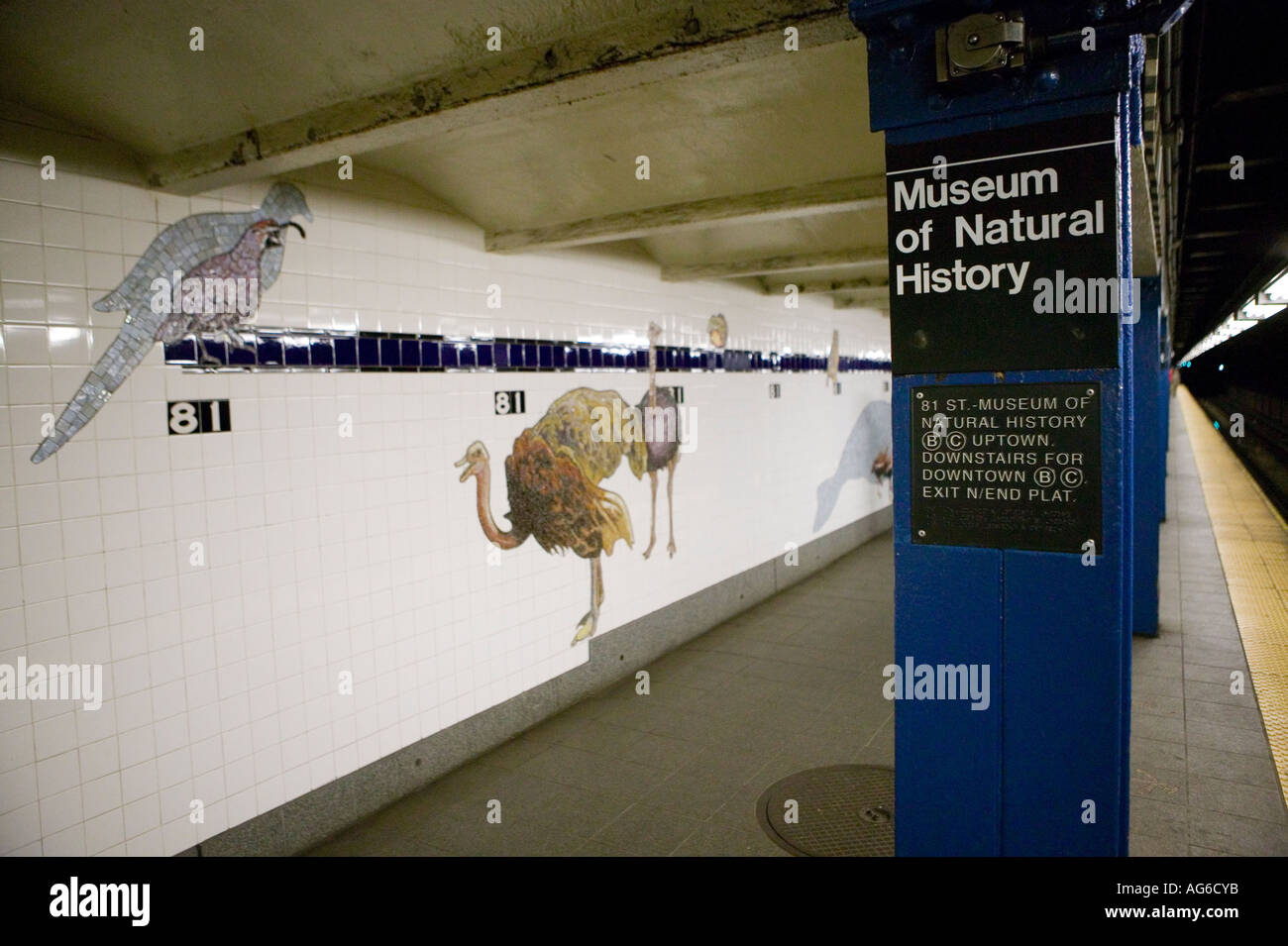 Museum of natural history subway station hi-res stock photography and ...
