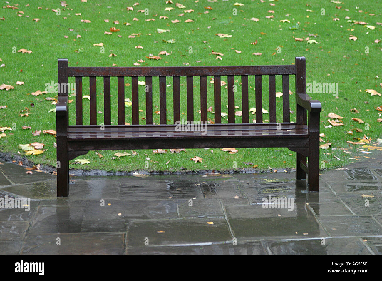 Empty Park Bench